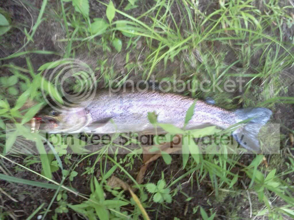 Lehigh River 6-30 | The HuntingPA.com Outdoor Community