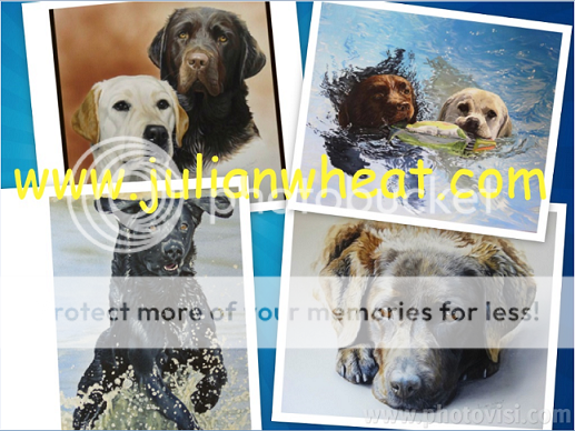 Tetley's deformed paw | Labradors Forums