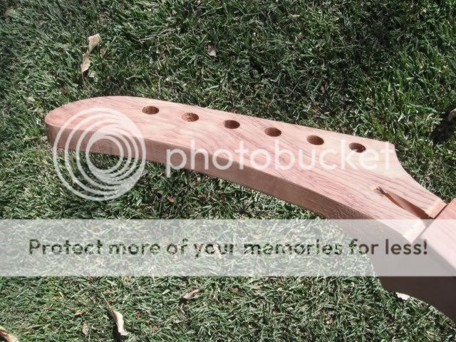 ESP MX220 Bubinga Explorer - Ultimate Guitar