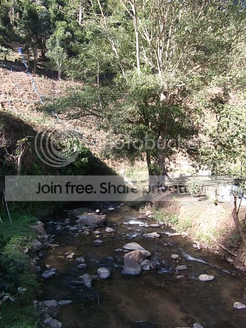 Post your Asian bridge & water crossing photo's here | Page 6 | Ride ...